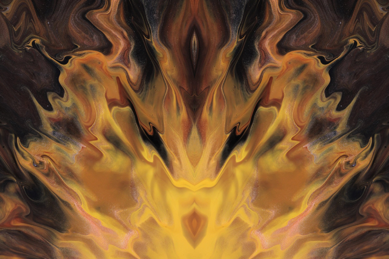 The Spirit of Ubuntu: Black Lion Roars - Animate Earth