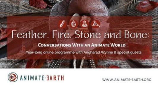 Feather Fire Stone Bone Vigil - Animate Earth