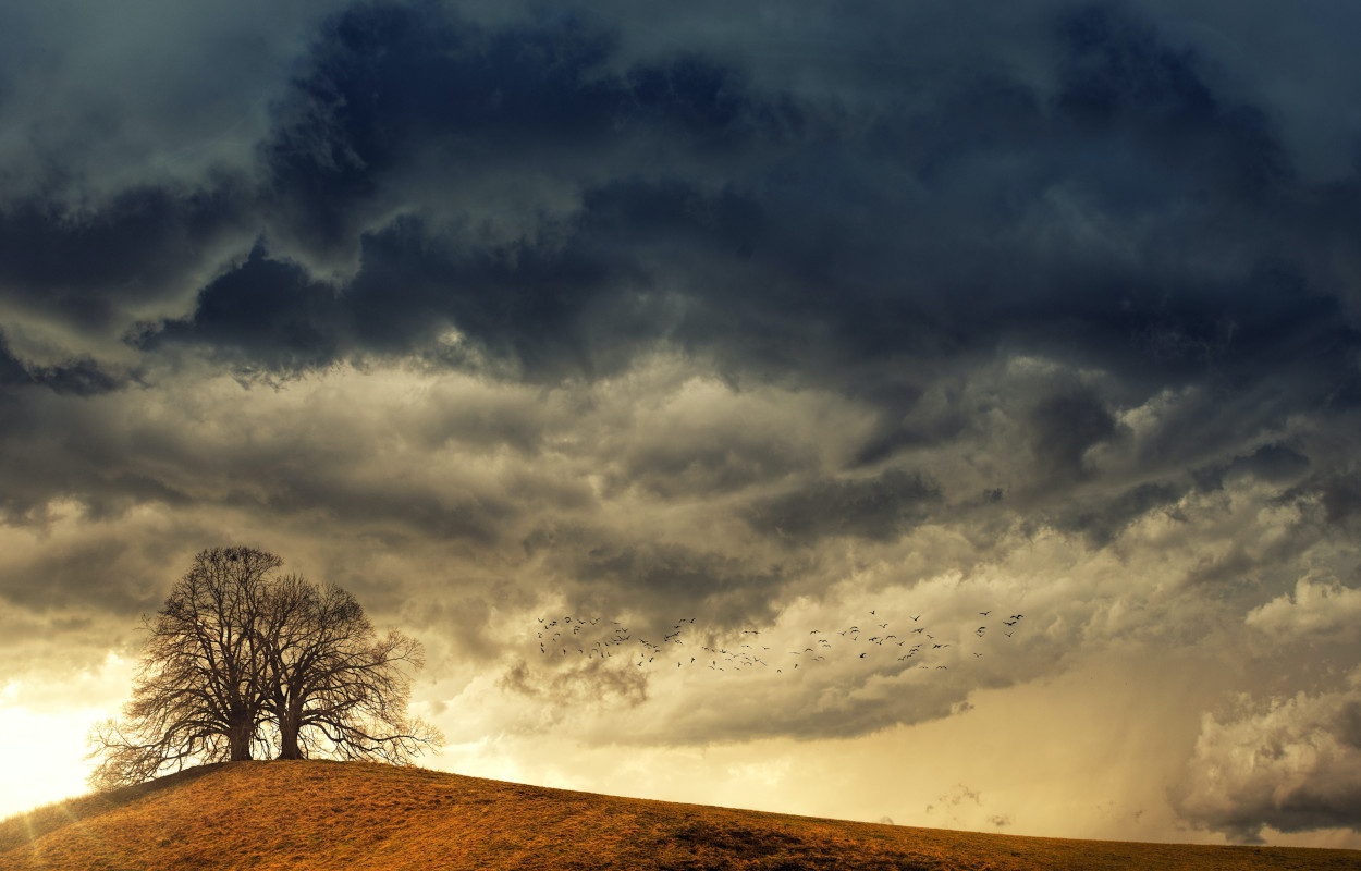 Subtle Energies of The Land - Animate Earth