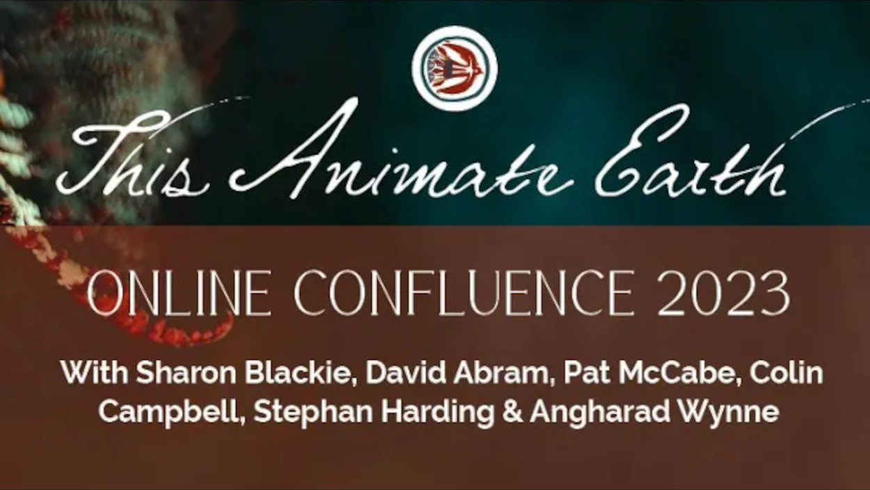This Animate Earth: Annual Confluence 2023 - Animate Earth